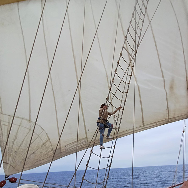 An Expert Review Onboard Star Flyer