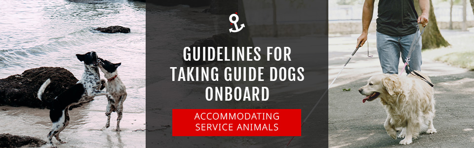 Guide Dogs on Cruise Ships- Southampton Cruise Centre