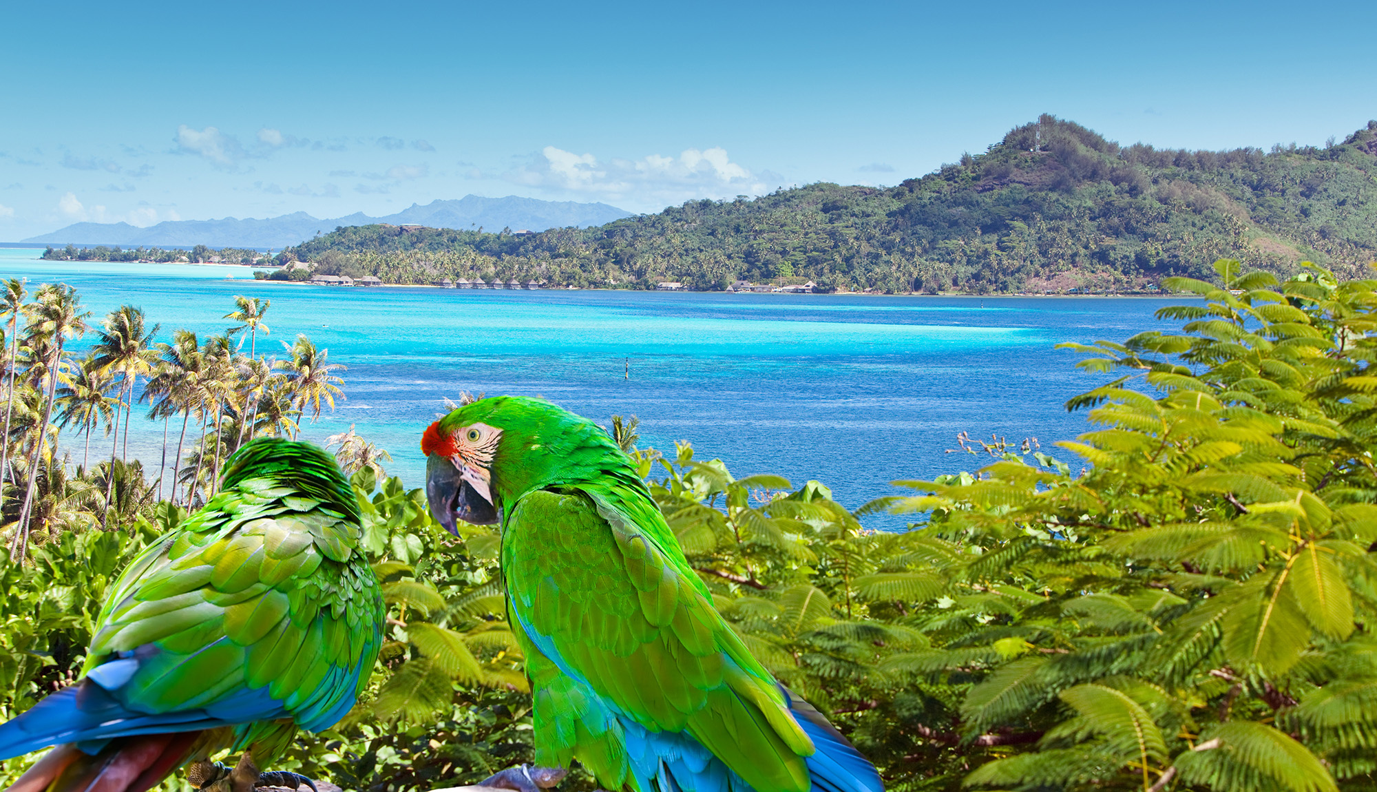 South Pacific Cruises from Southampton Cruise Centre