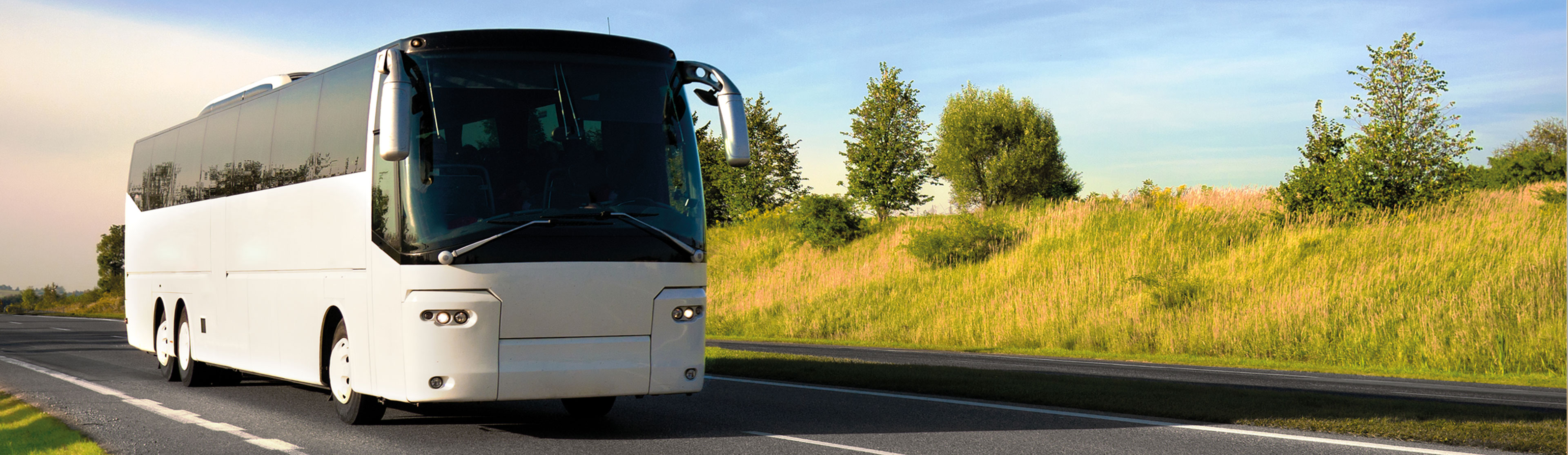 Cruise From Southampton & Needing Coach Transfers?